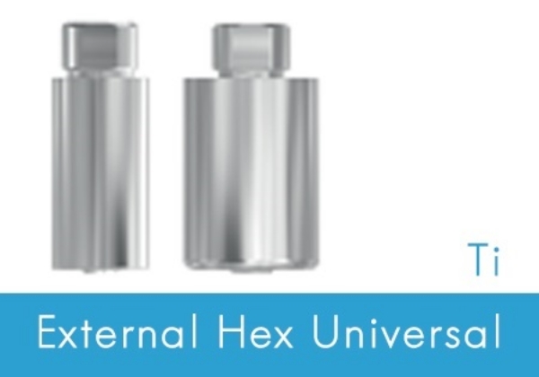 Axsys Dental Solutions. DESS titanium pre-milled abutment blank - Nobel ...